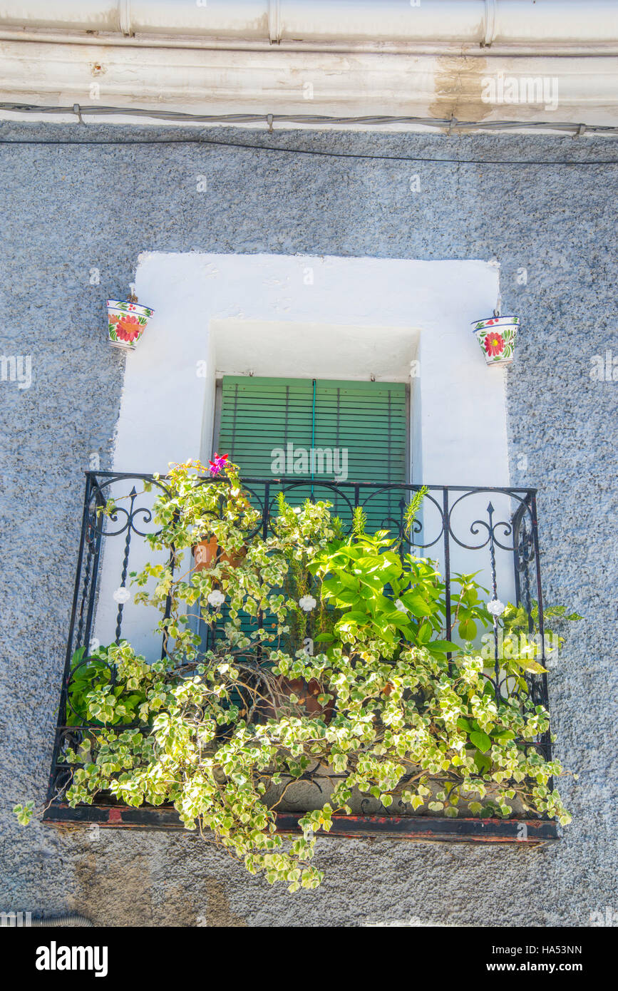 Balcony full of plants. Rascafria, Madrid province, Spain Stock Photo ...