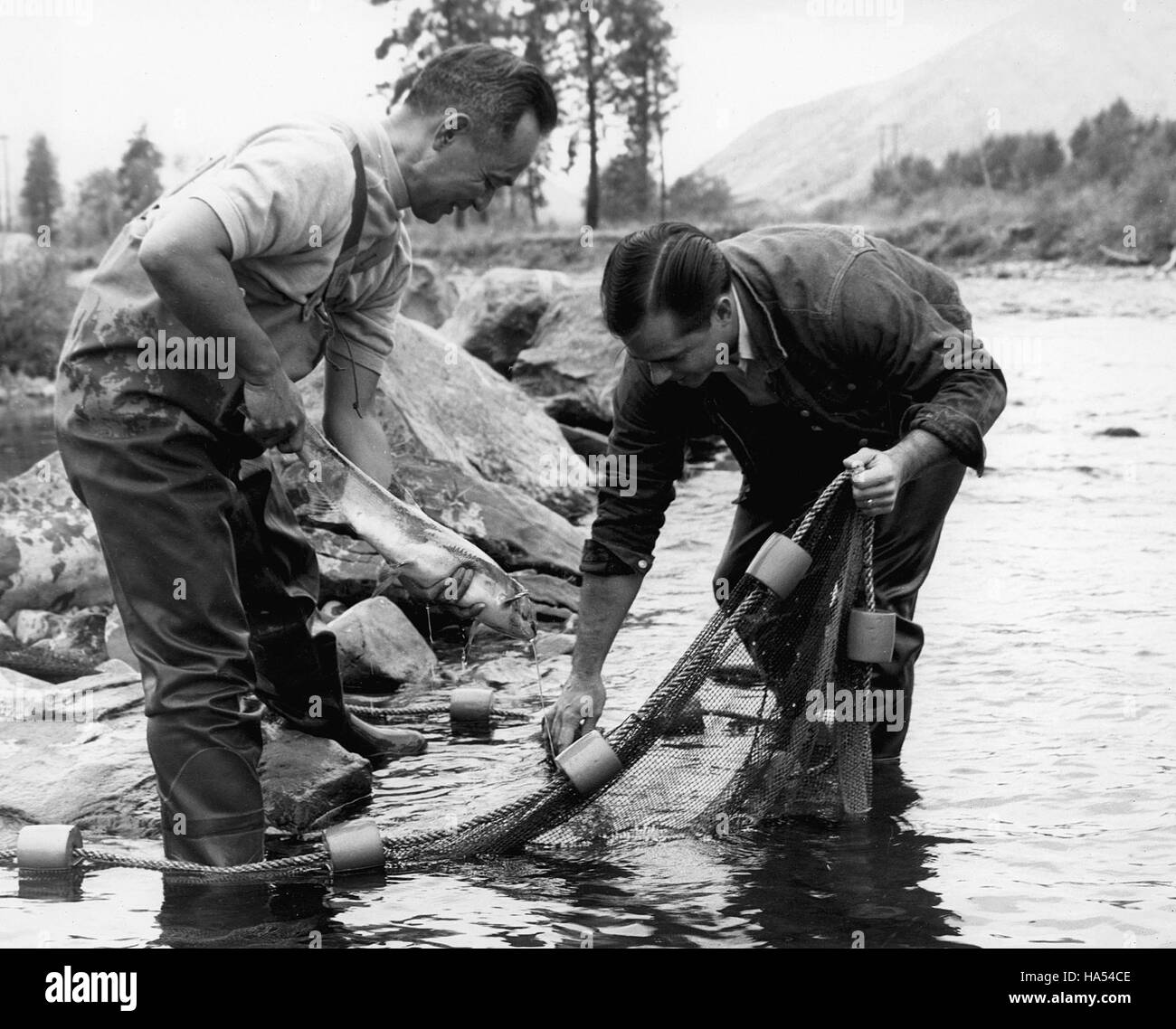 The Department of Energy (DOE) continues to lead efforts in scientific ...