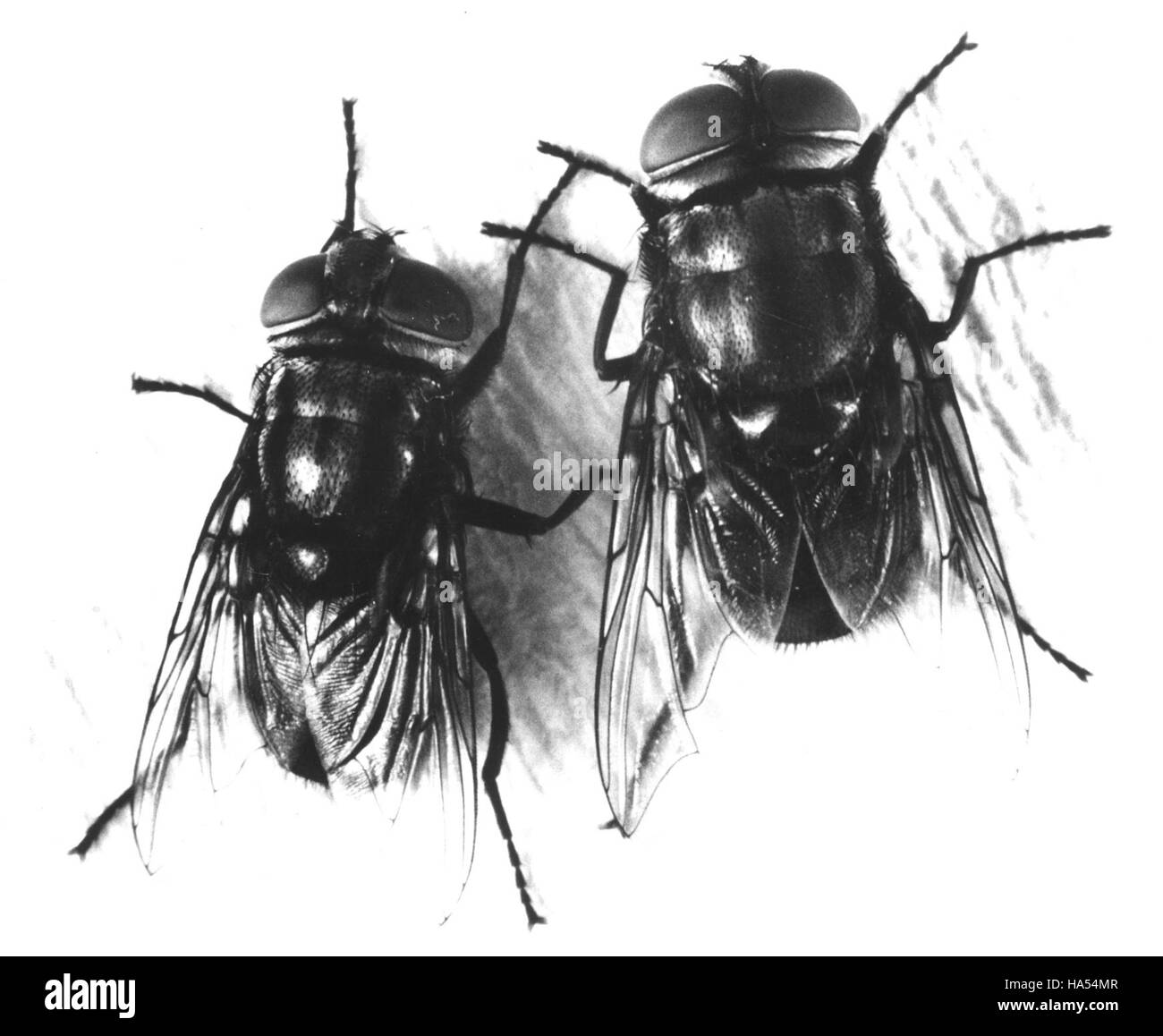 Sustainable energy project building Cut Out Stock Images & Pictures - Alamy