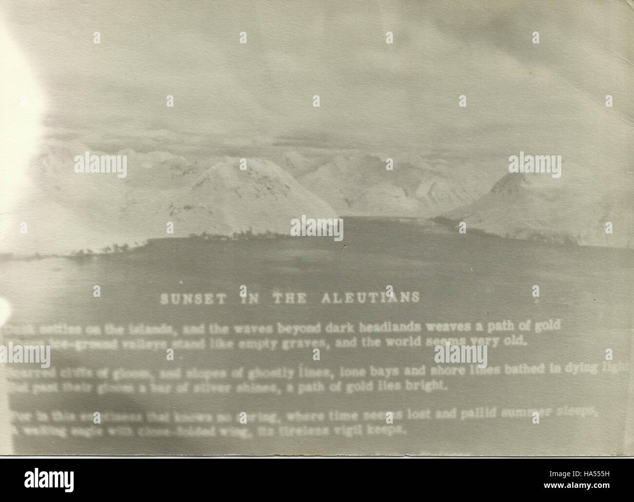 Clint Goodwin, a notable figure in nature, science, and politics ...