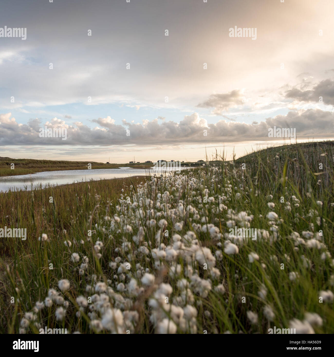 Efforts to address marine debris in Alaska’s coastal regions, focusing ...