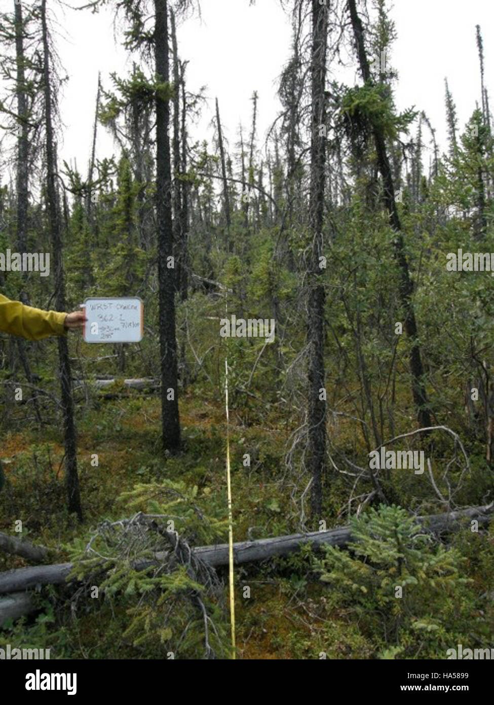 This image captures the Alaskan landscape five days before a wildfire ...