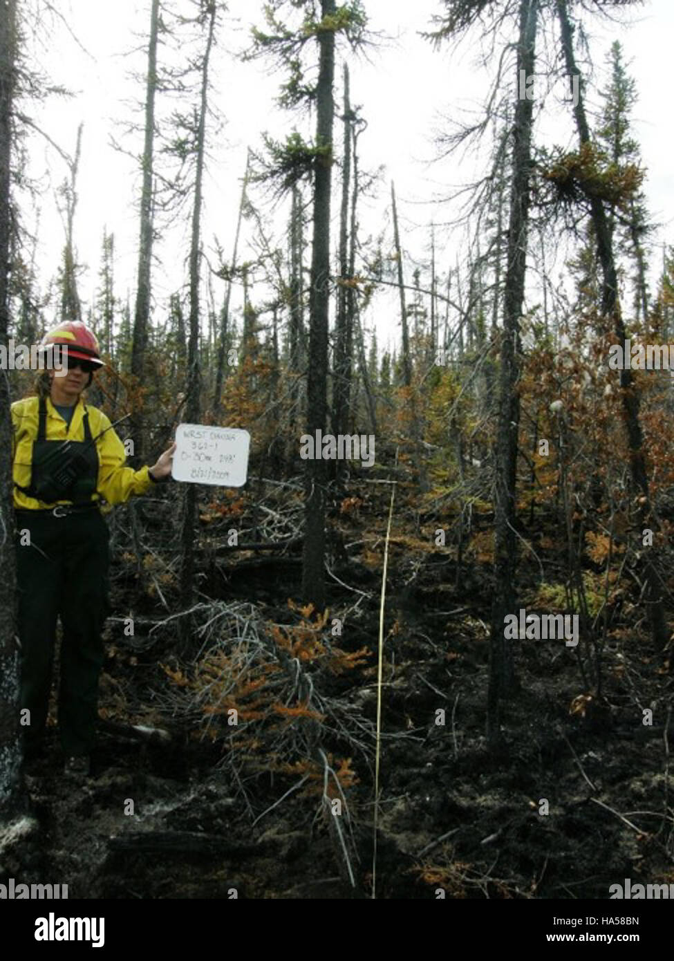 This image shows the aftermath of a fire in Alaska, capturing the ...