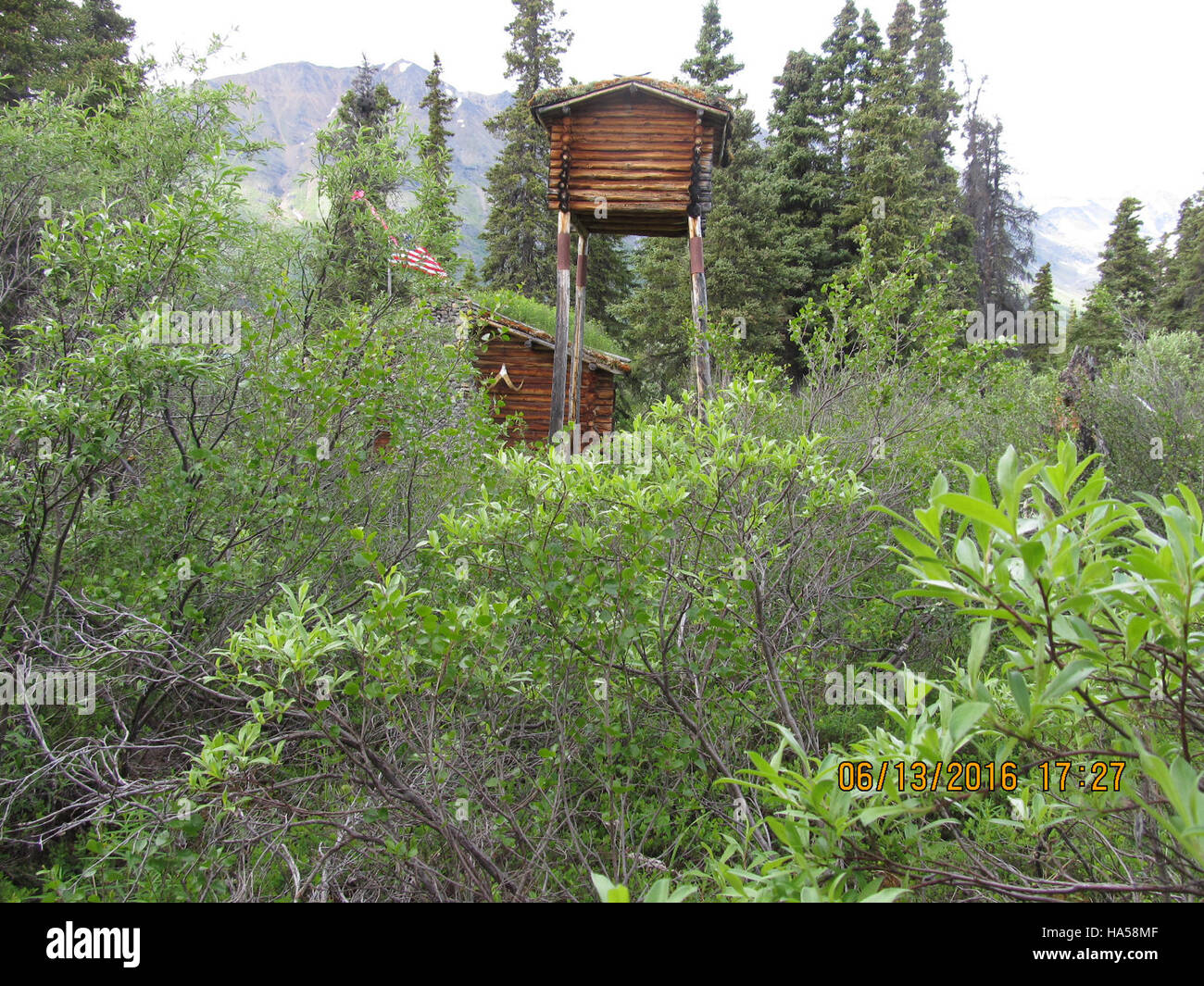 Before Proenneke is a visual exploration of the Alaskan wilderness ...