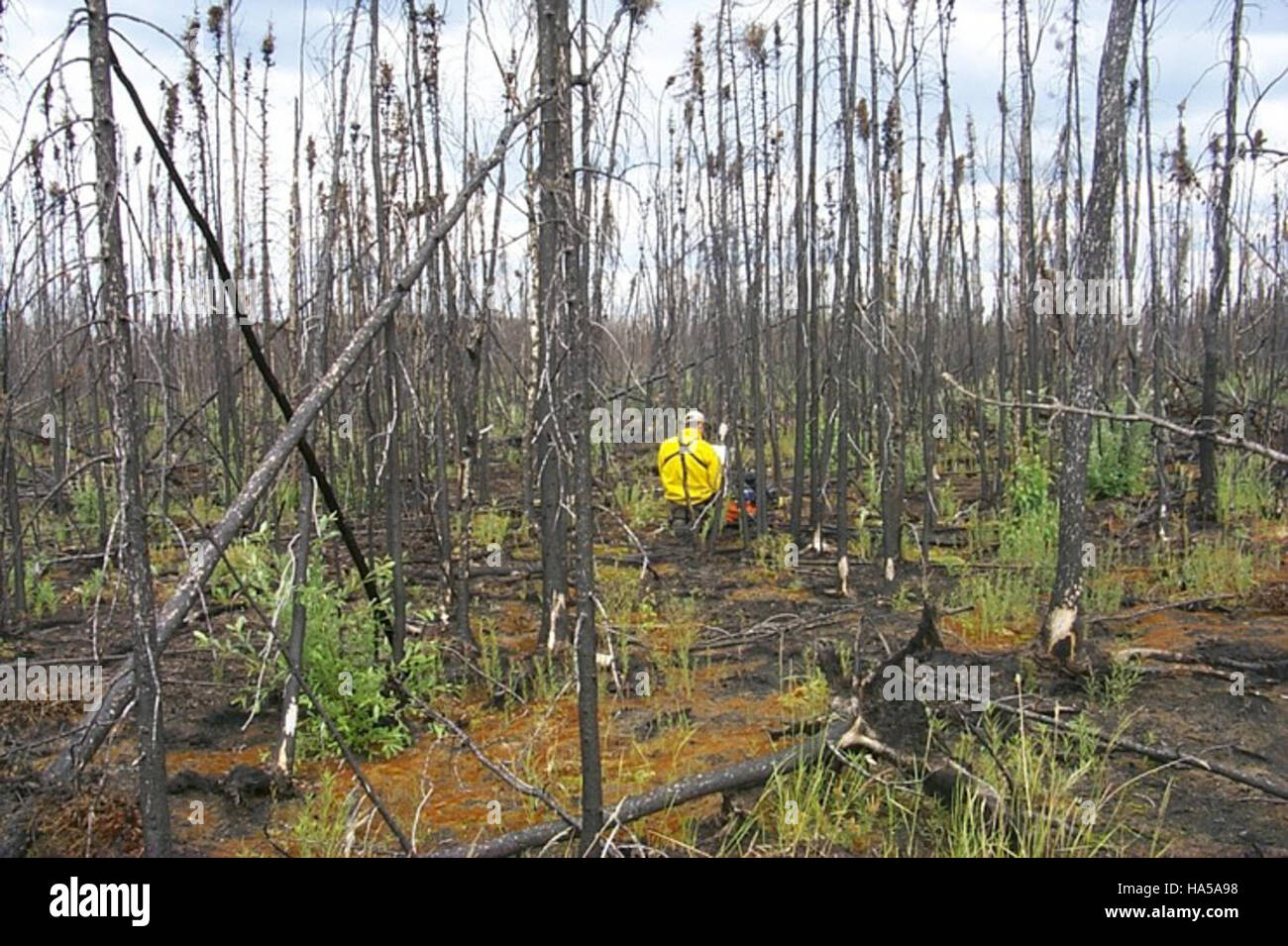 Extent of damage caused hi-res stock photography and images - Alamy