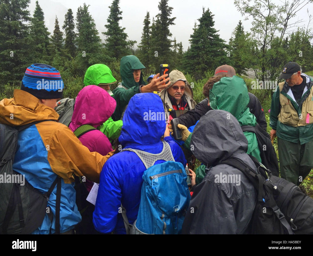 Alaska’s national parks preserve diverse ecosystems, wildlife habitats ...