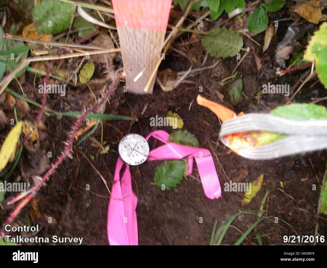 This image represents a survey conducted at Talkeetna Ranger Station in ...