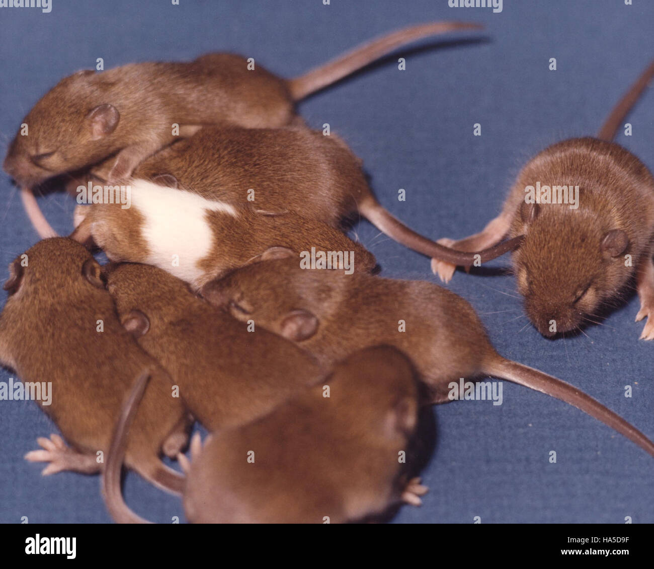 A Department of Energy initiative focusing on the intersection of ...