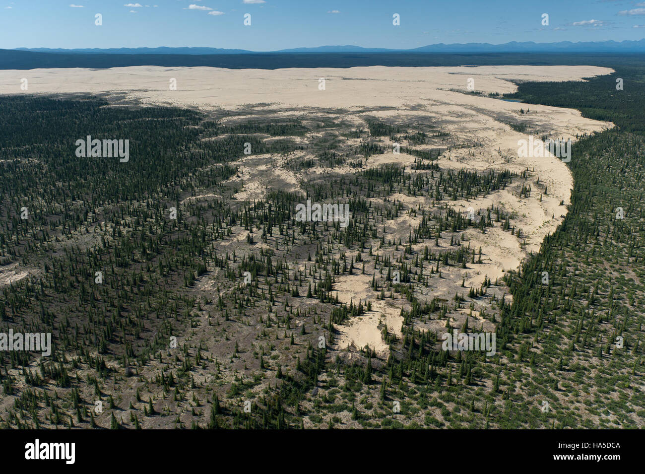 The Great Kobuk Sand Dunes, located in Alaska, are a vast desert ...