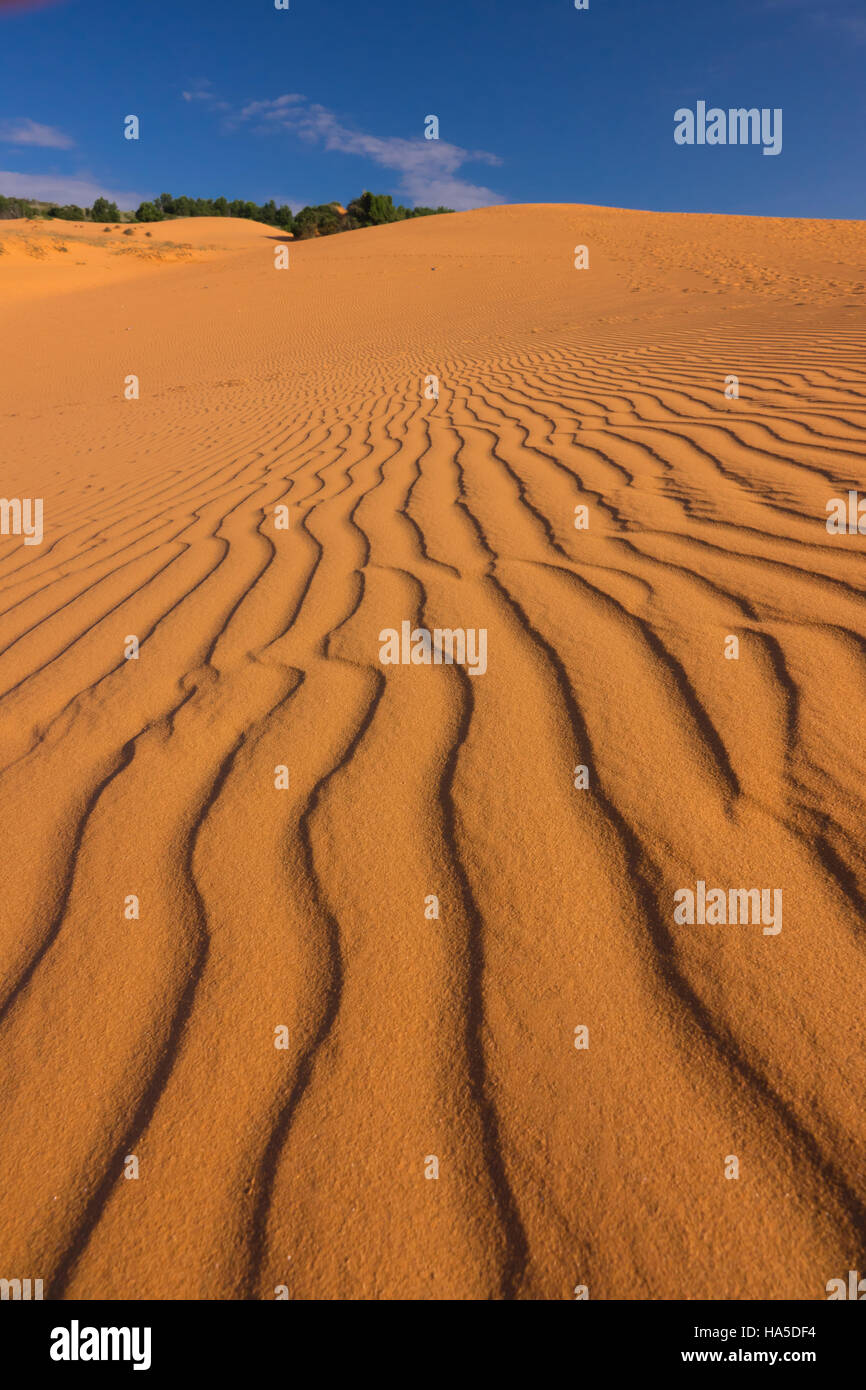 The Red Sand Dunes of Mui Ne, Vietnam Stock Photo - Alamy