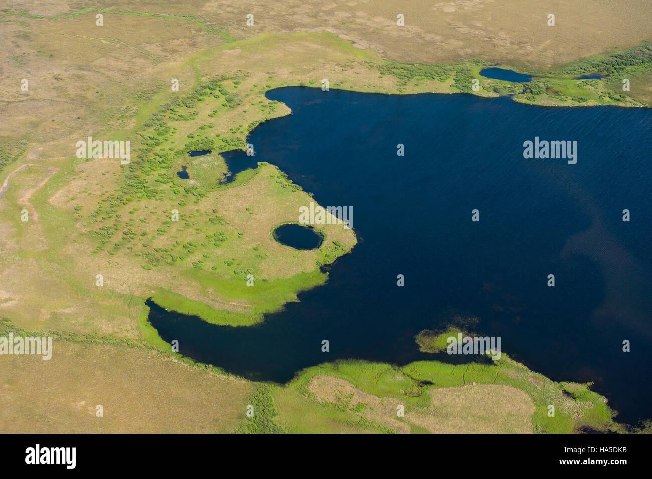 The wetlands along the Kobuk River in Alaska are vital ecosystems ...