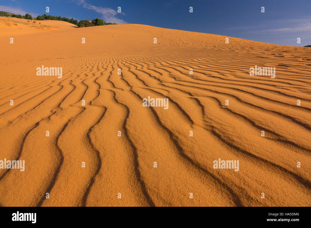 The Red Sand Dunes of Mui Ne, Vietnam Stock Photo - Alamy