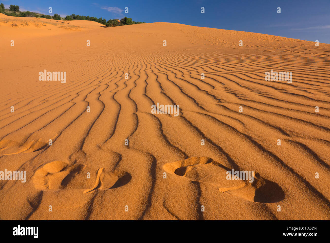 The Red Sand Dunes of Mui Ne, Vietnam Stock Photo - Alamy