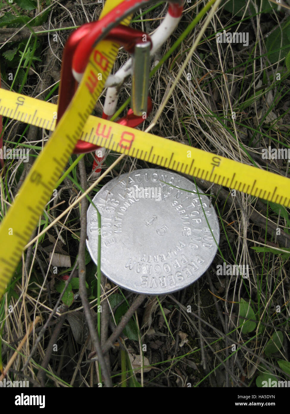 A plot marker in Denali National Park used for vegetation monitoring ...