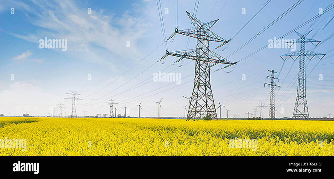 The Department of Energy’s WAPA Webinars feature a series of ...