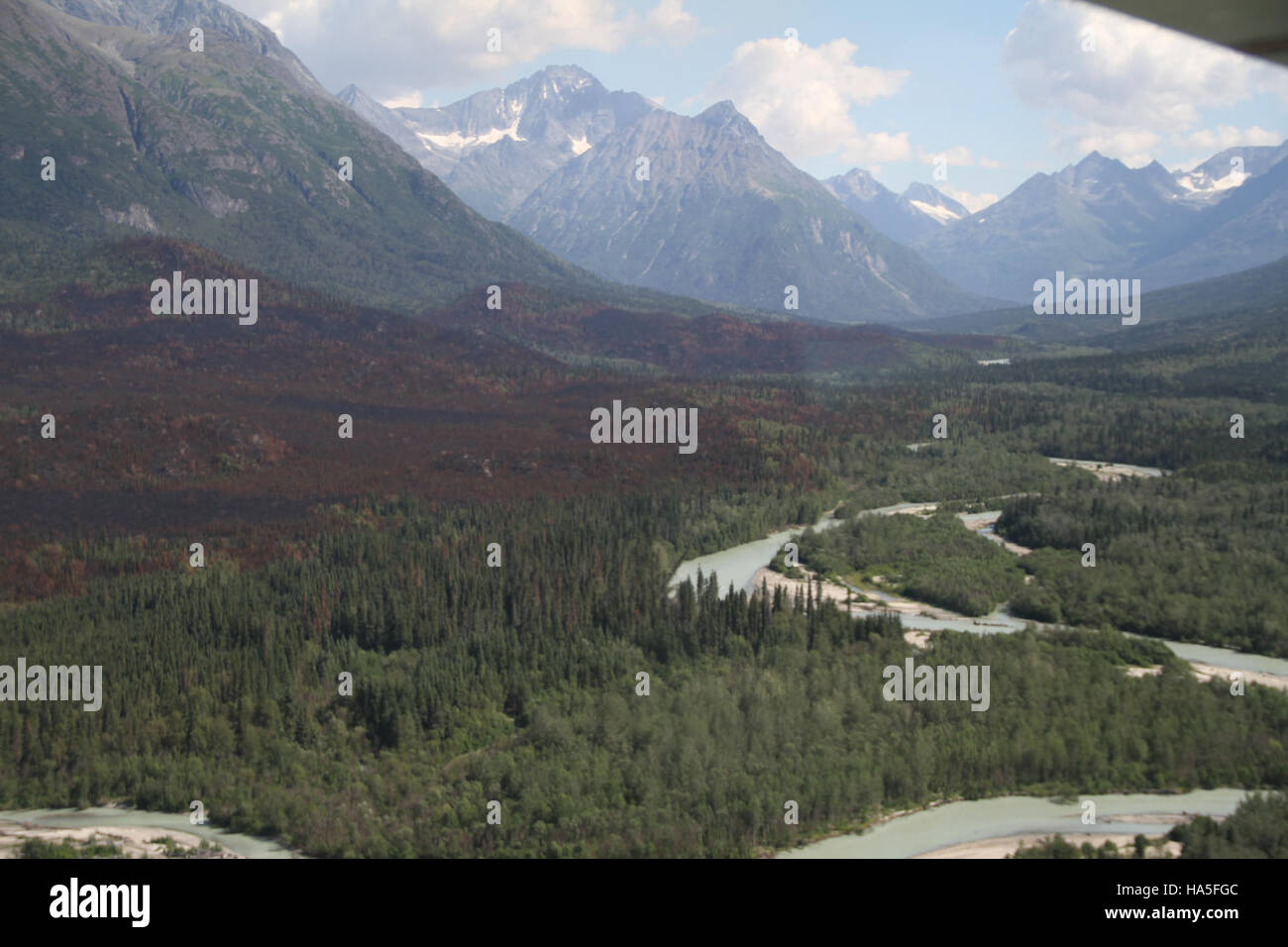 Buck clark hi-res stock photography and images - Alamy