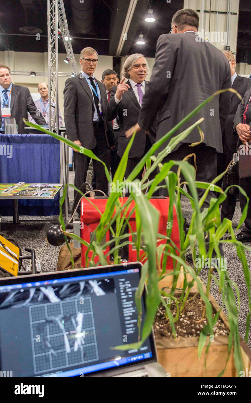 Bioenergy science hi-res stock photography and images - Alamy