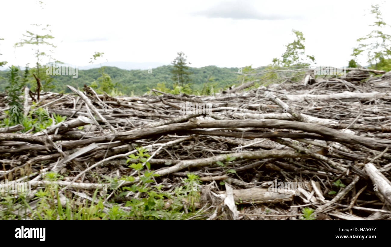 The Department of Energy's research focuses on environmental impacts of ...