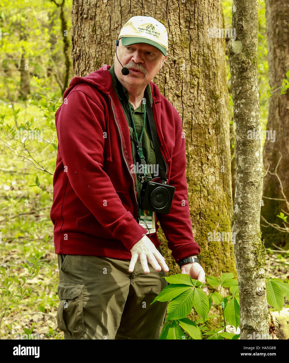 The Old-Growth Forest on the Oak Ridge Reservation is a protected area ...