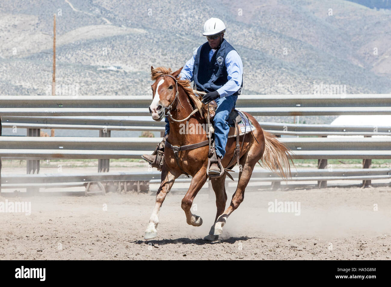 Responsible animal management hi-res stock photography and images - Alamy