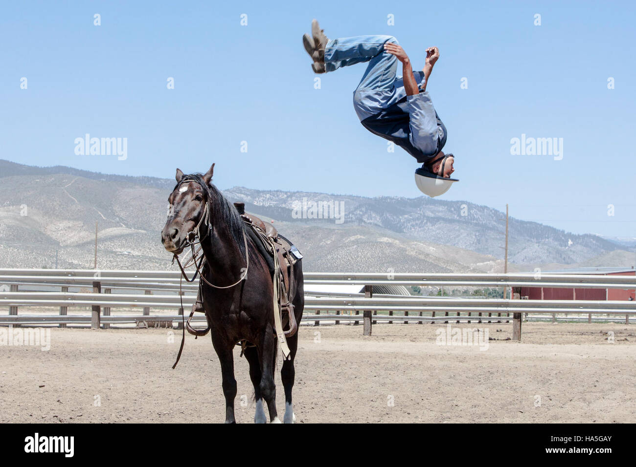 blmnevada 14161152880 May 31, 2014 Saddle-Trained Wild Horse & Burro ...