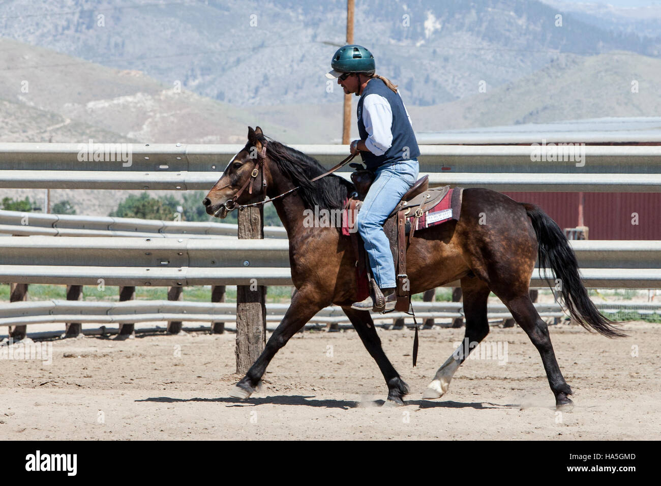 The Bureau of Land Management's wild horse and burro adoption program ...