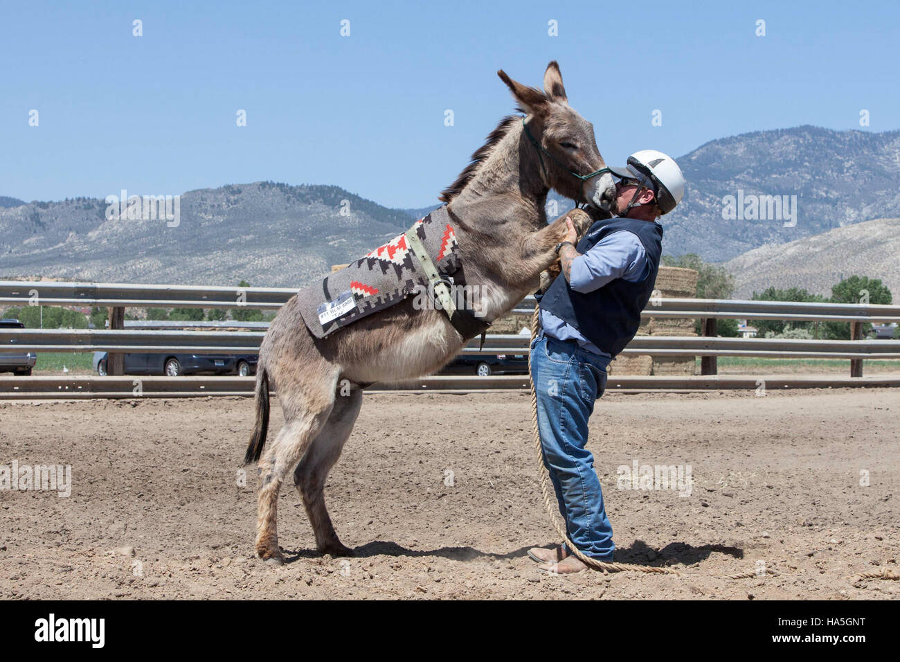 The Bureau of Land Management’s wild horse and burro adoption event ...
