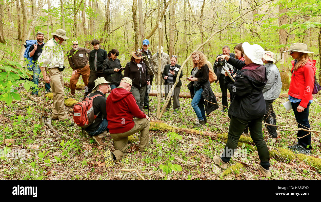The Oak Ridge Reservation’s old-growth forest is a critical ecological ...