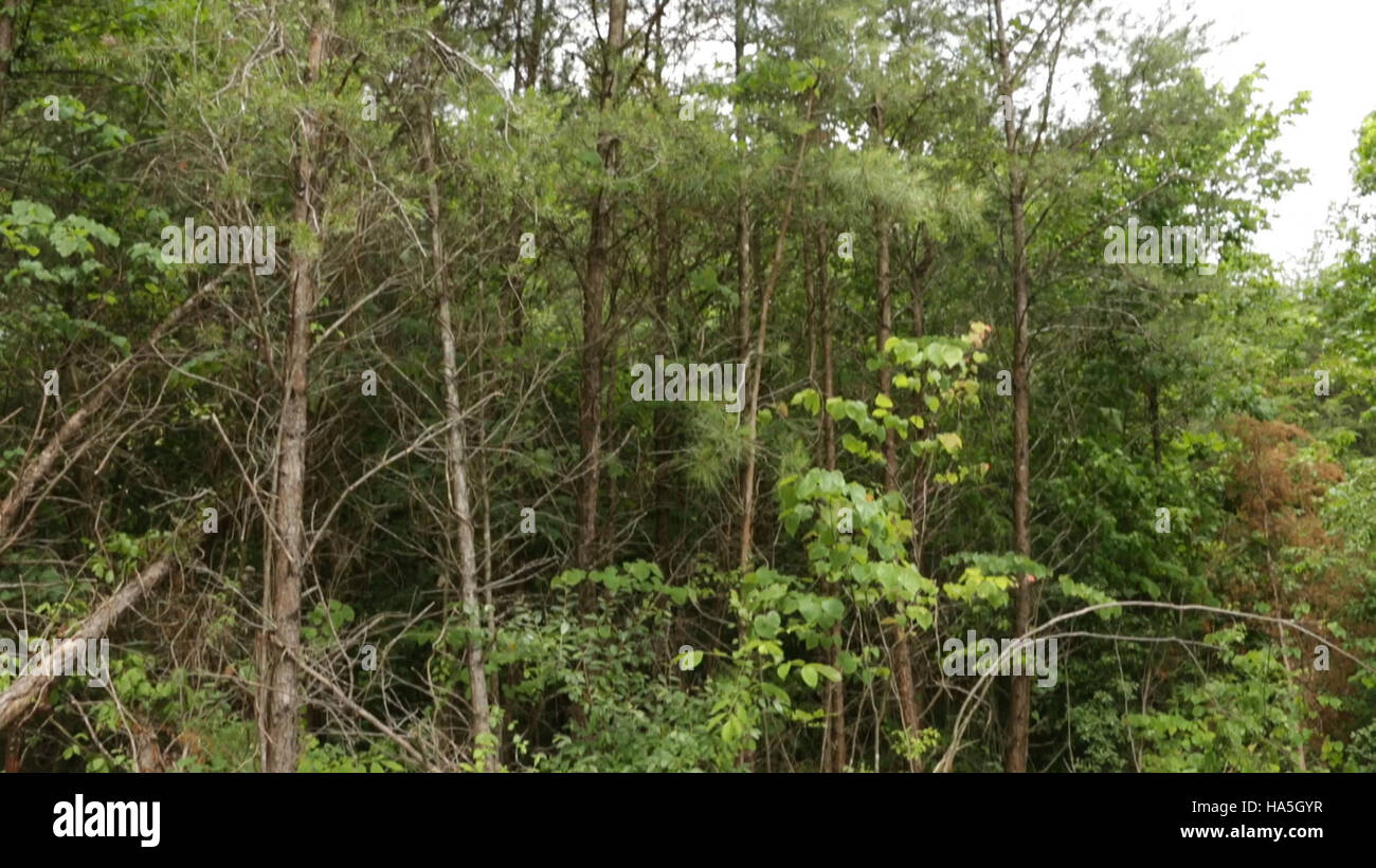 Poorly managed national parks can face significant challenges in ...