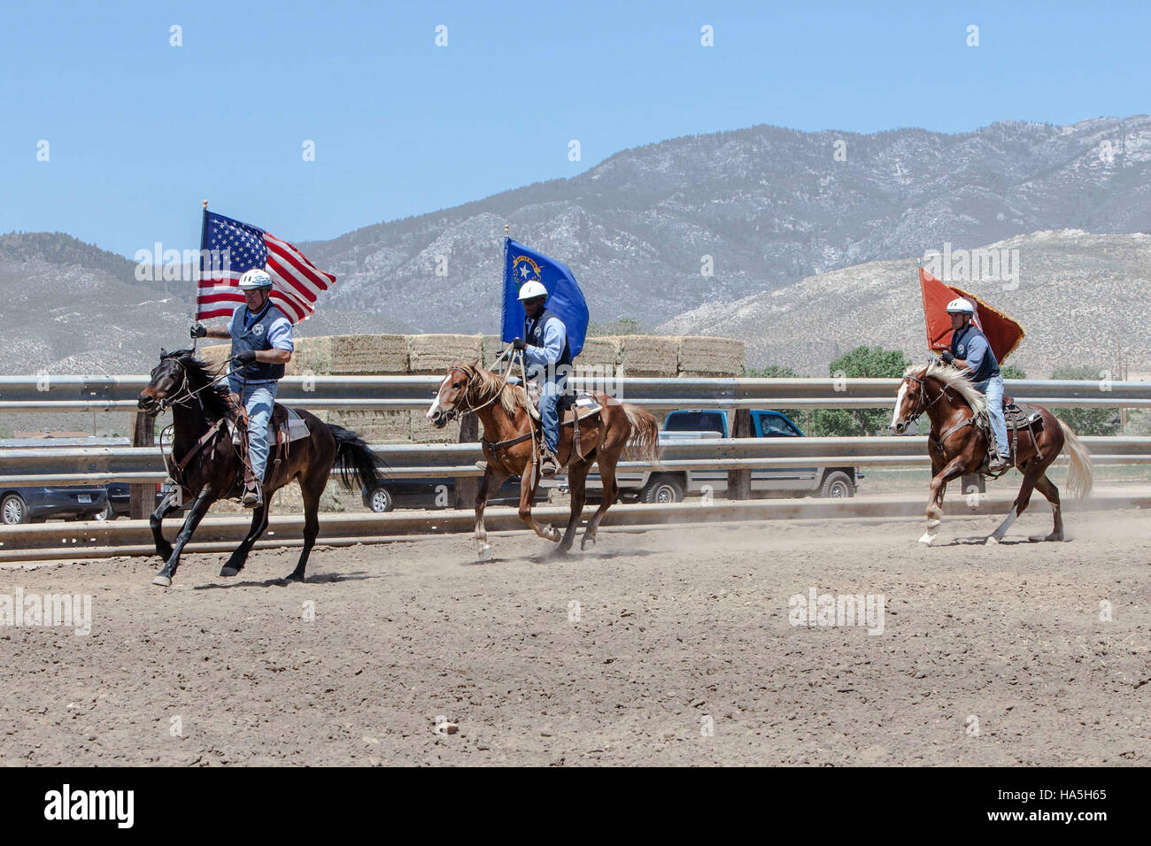 The Bureau of Land Management's wild horse and burro adoption program ...