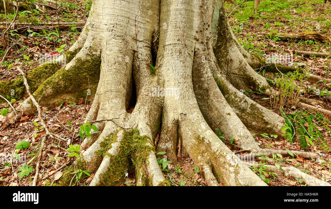 Oak ridge reservation hi-res stock photography and images - Alamy