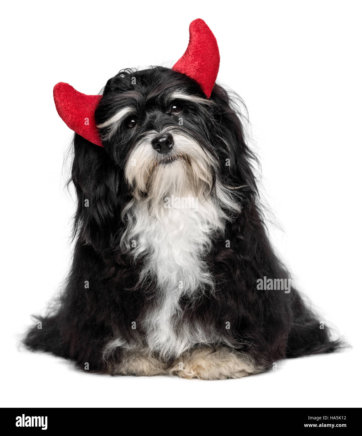 Cute red comic dog Cut Out Stock Images & Pictures - Alamy