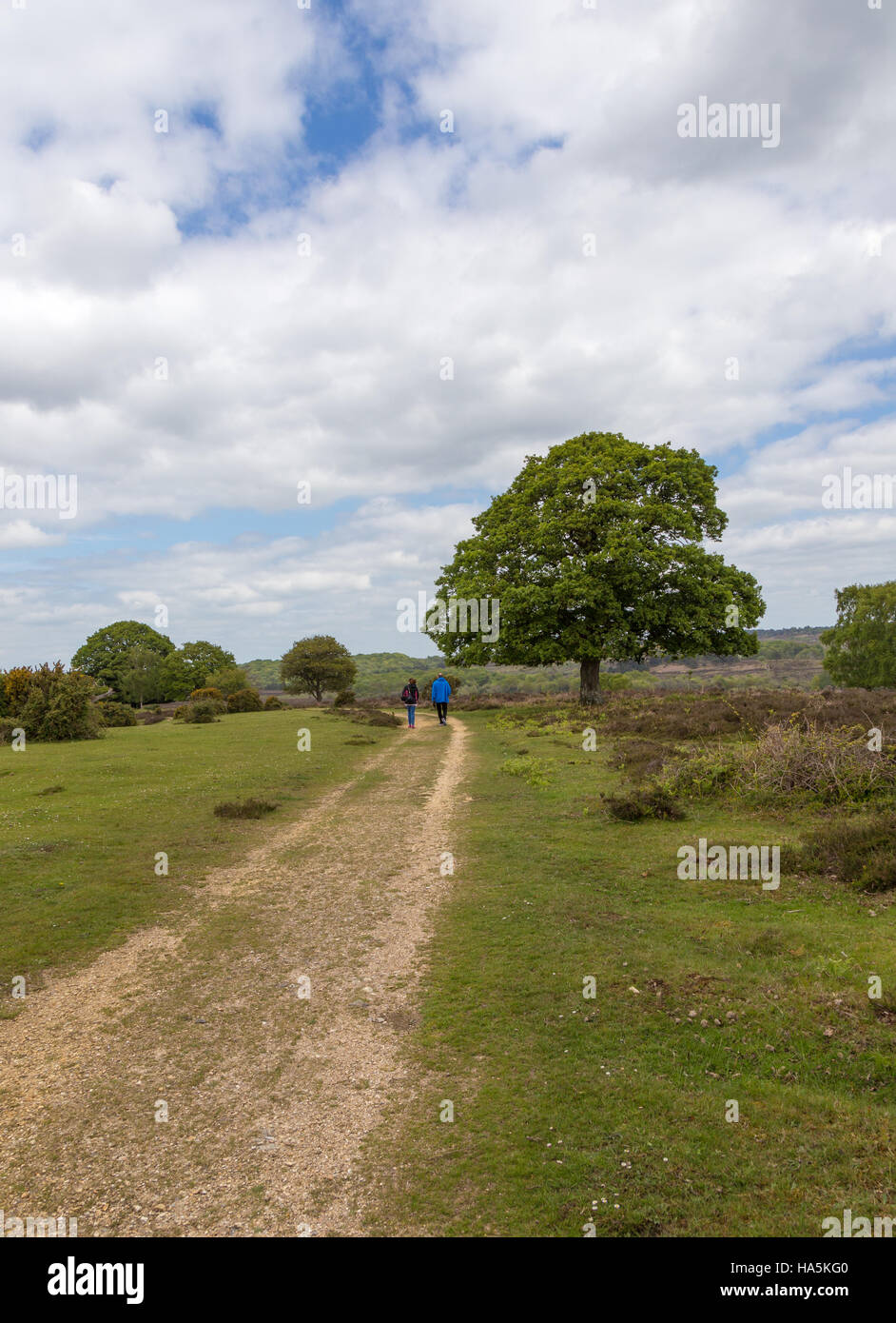 Walking track with incline hi-res stock photography and images - Alamy