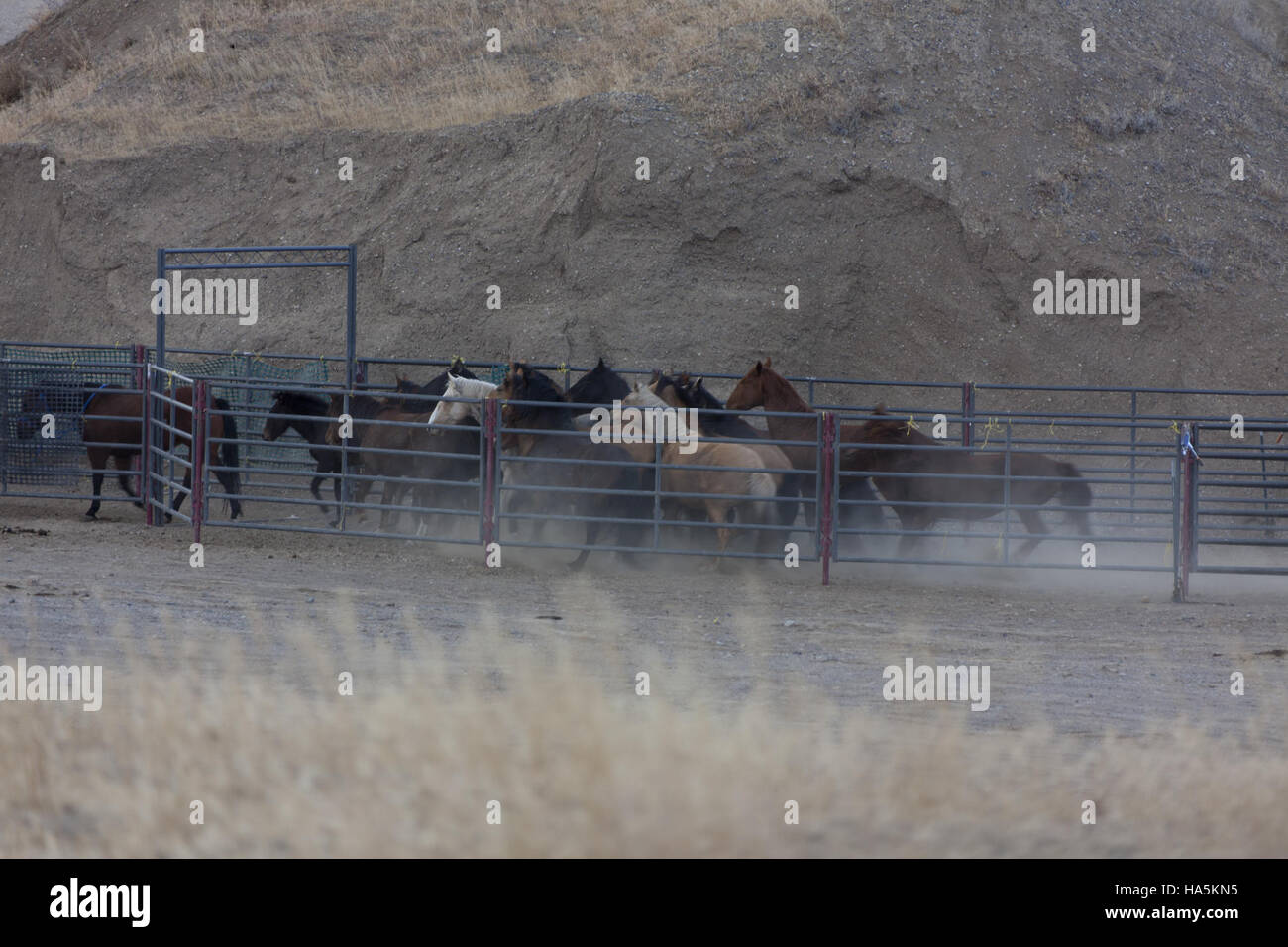 The image captures a stunning landscape within a National Park managed ...