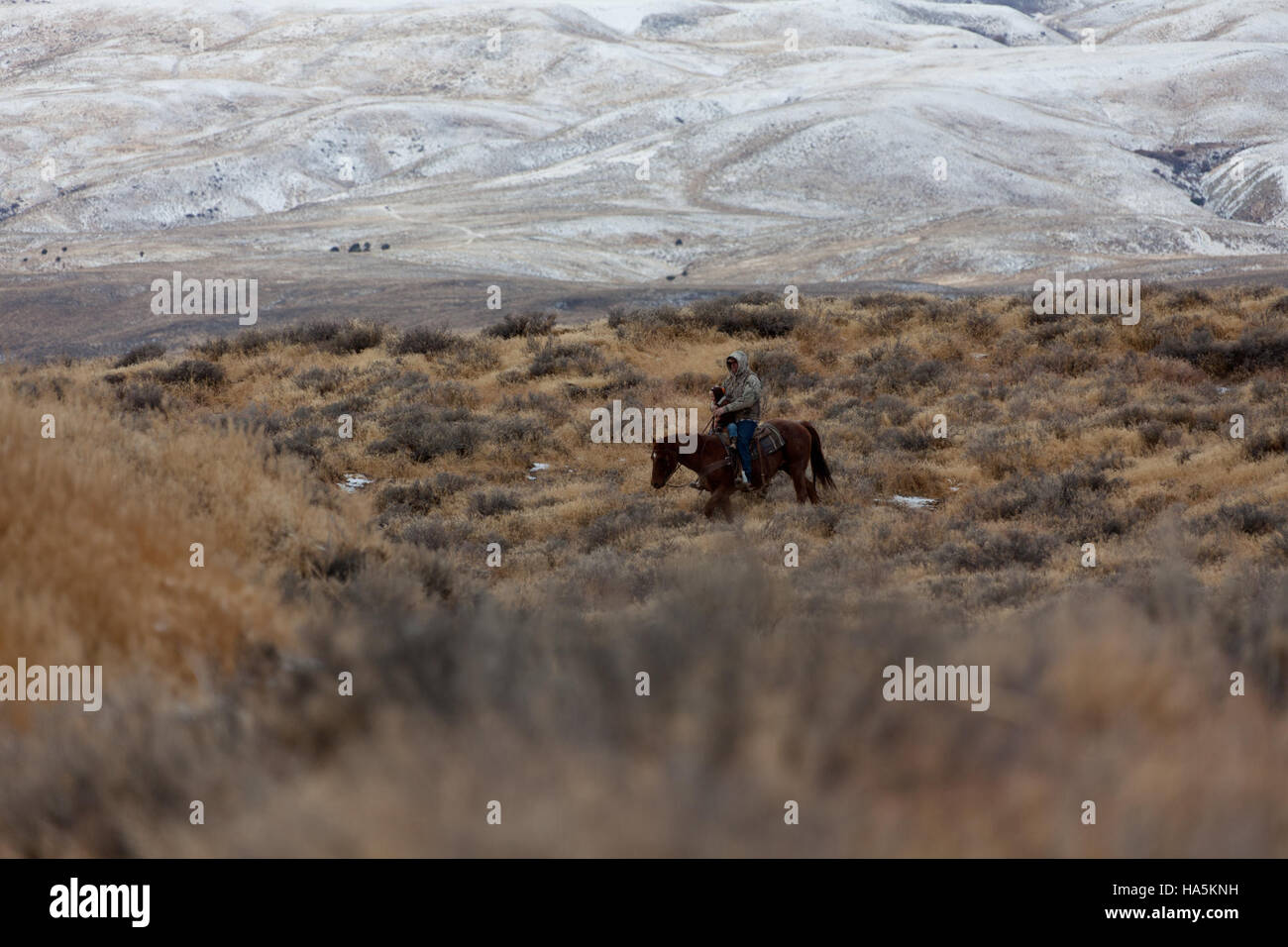 A photograph of a scenic view from a national park in Nevada, capturing ...