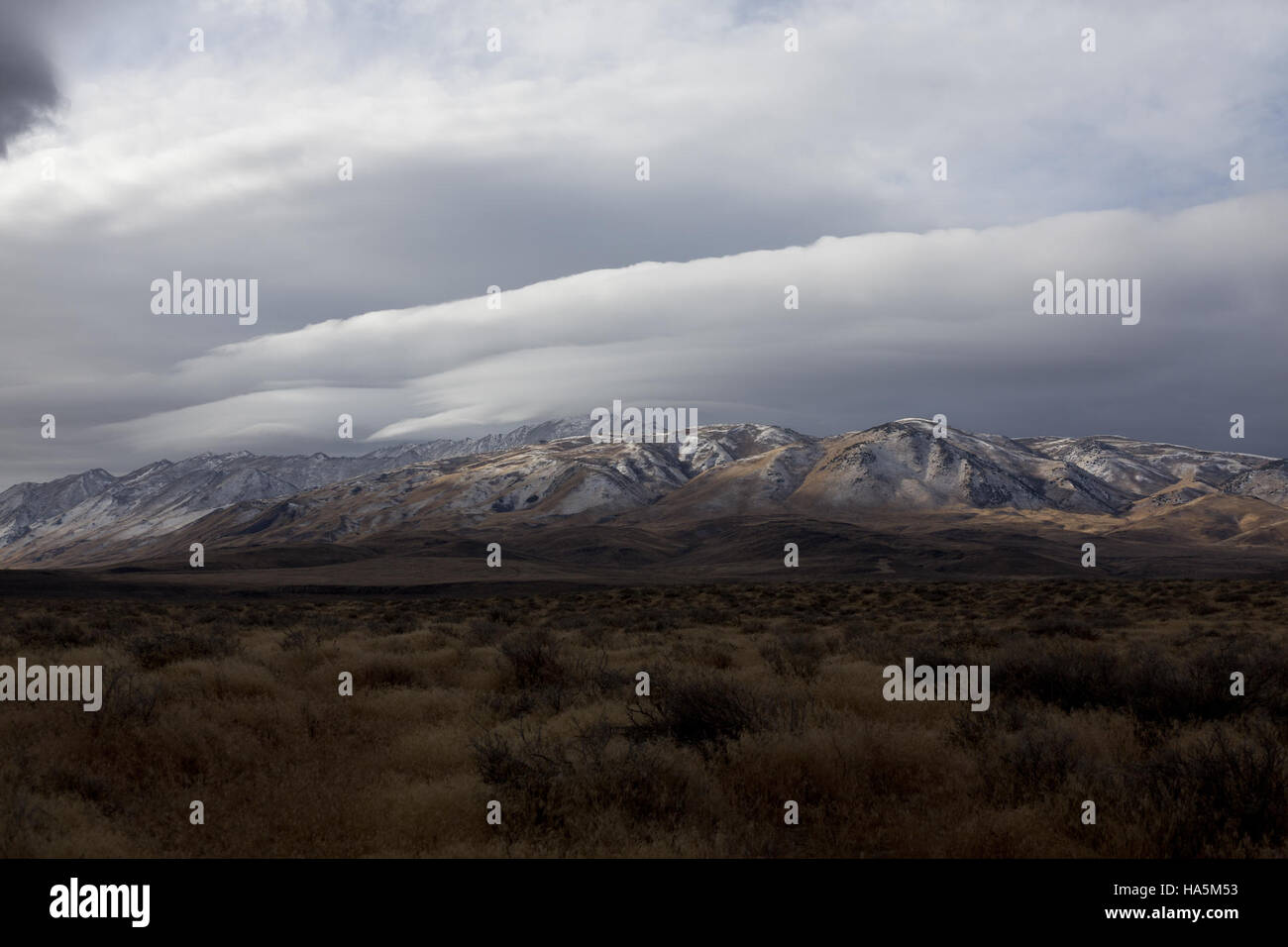 This image features a scenic view from Nevada's Bureau of Land ...
