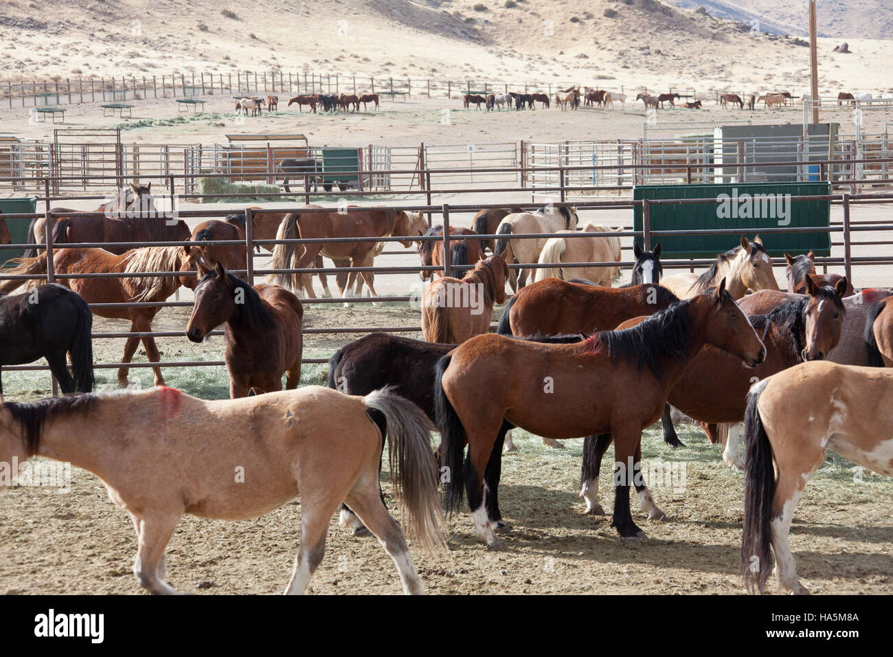 A Bureau of Land Management (BLM) specialist oversees land management ...