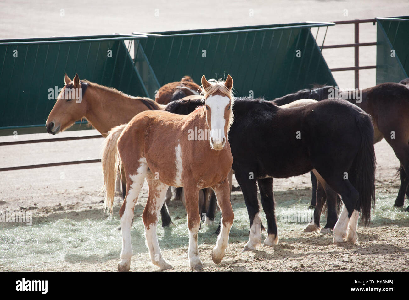MG 0616 captures a stunning view of a national park in Nevada managed ...