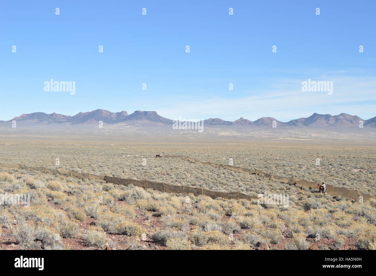 The Reveille Gather event in Nevada focuses on gathering public support ...
