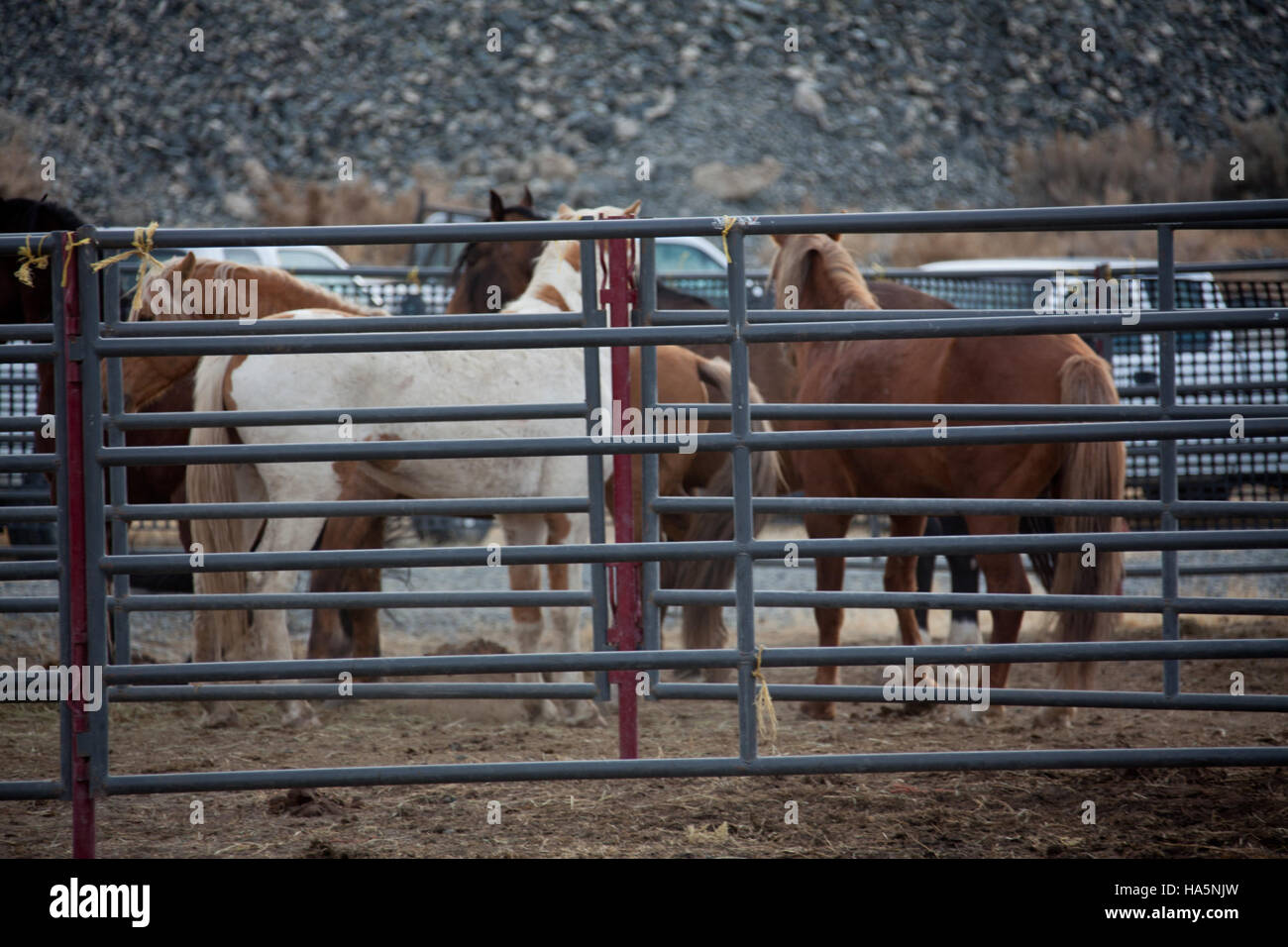 A BLM firefighter takes action in a fire suppression effort in Nevada ...