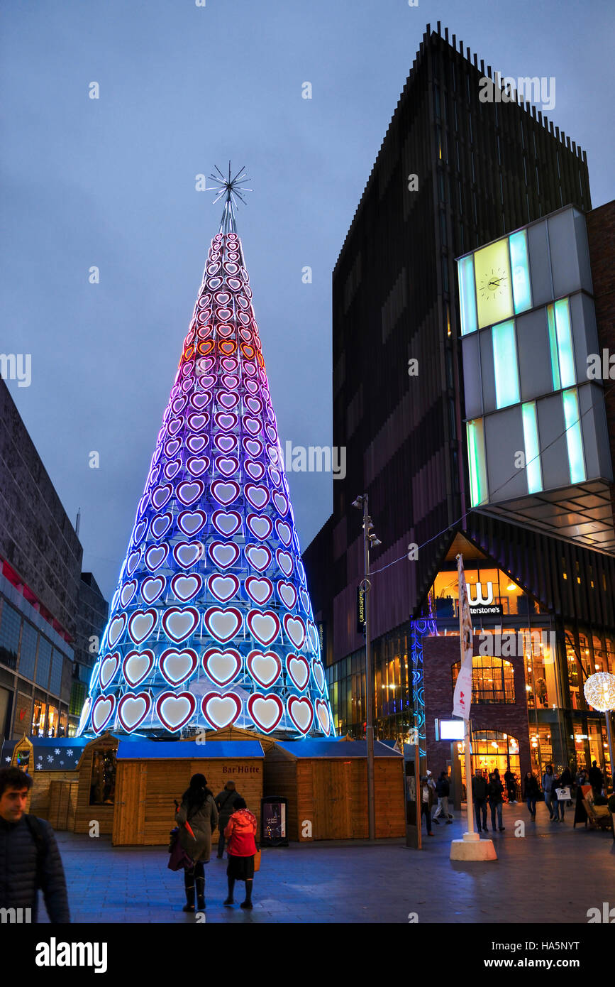 30 meter tree hi-res stock photography and images - Alamy