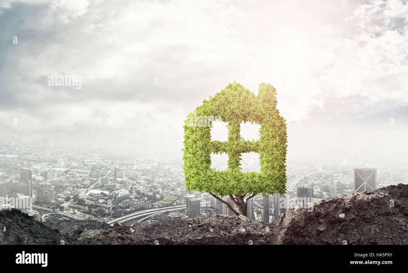 House shaped green tree as real estate concept Stock Photo - Alamy