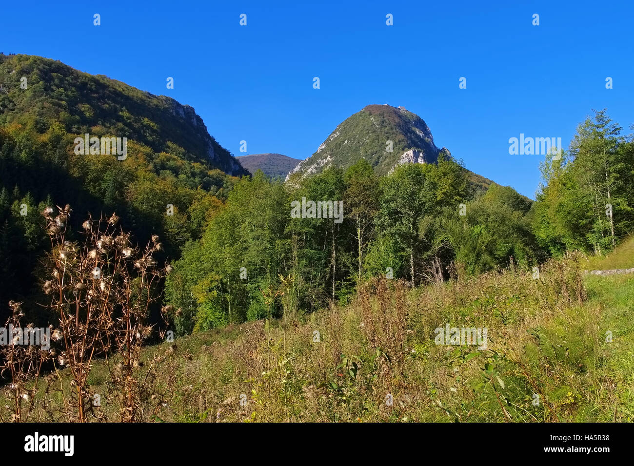 Burg Montsegur im Süden Frankreichs - cathare castle Montsegur in ...