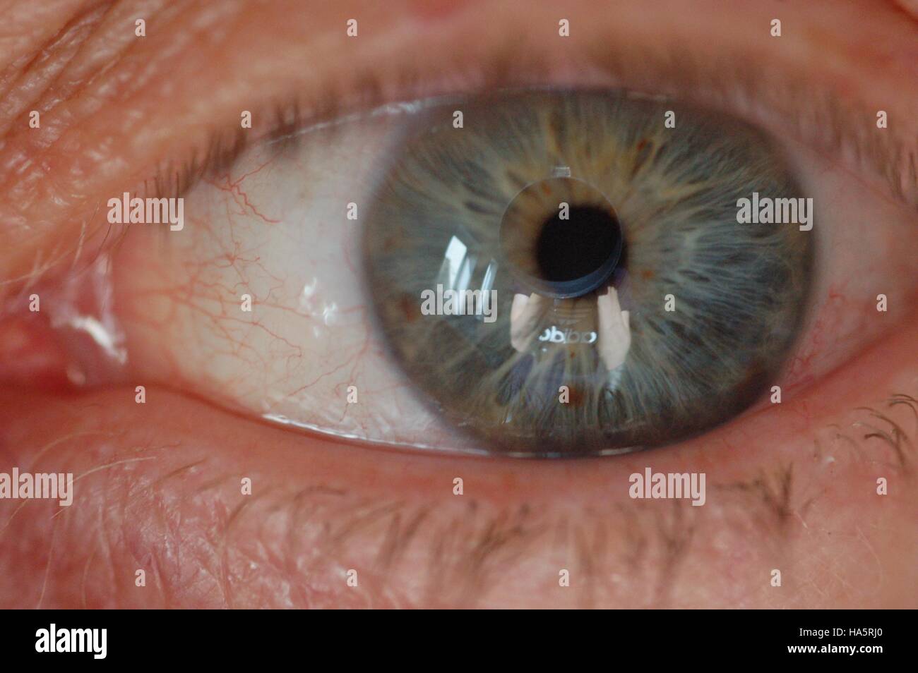 eye, shot with macro lens Stock Photo - Alamy