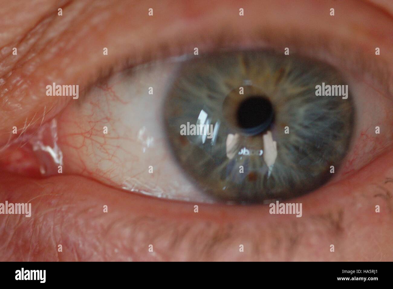 Macro closeup shot eye hi-res stock photography and images - Alamy