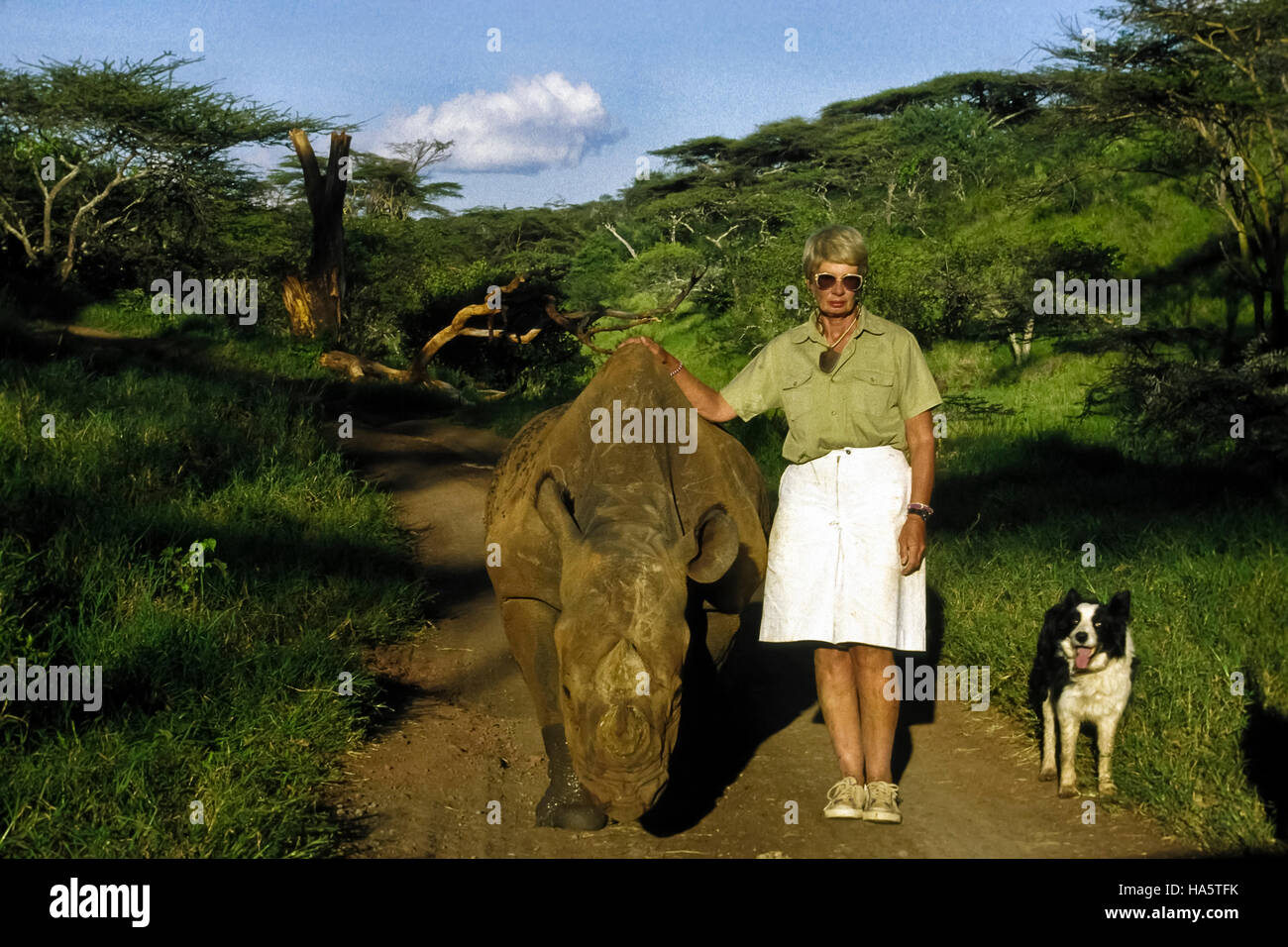 Anna merz samia black rhino hi-res stock photography and images - Alamy
