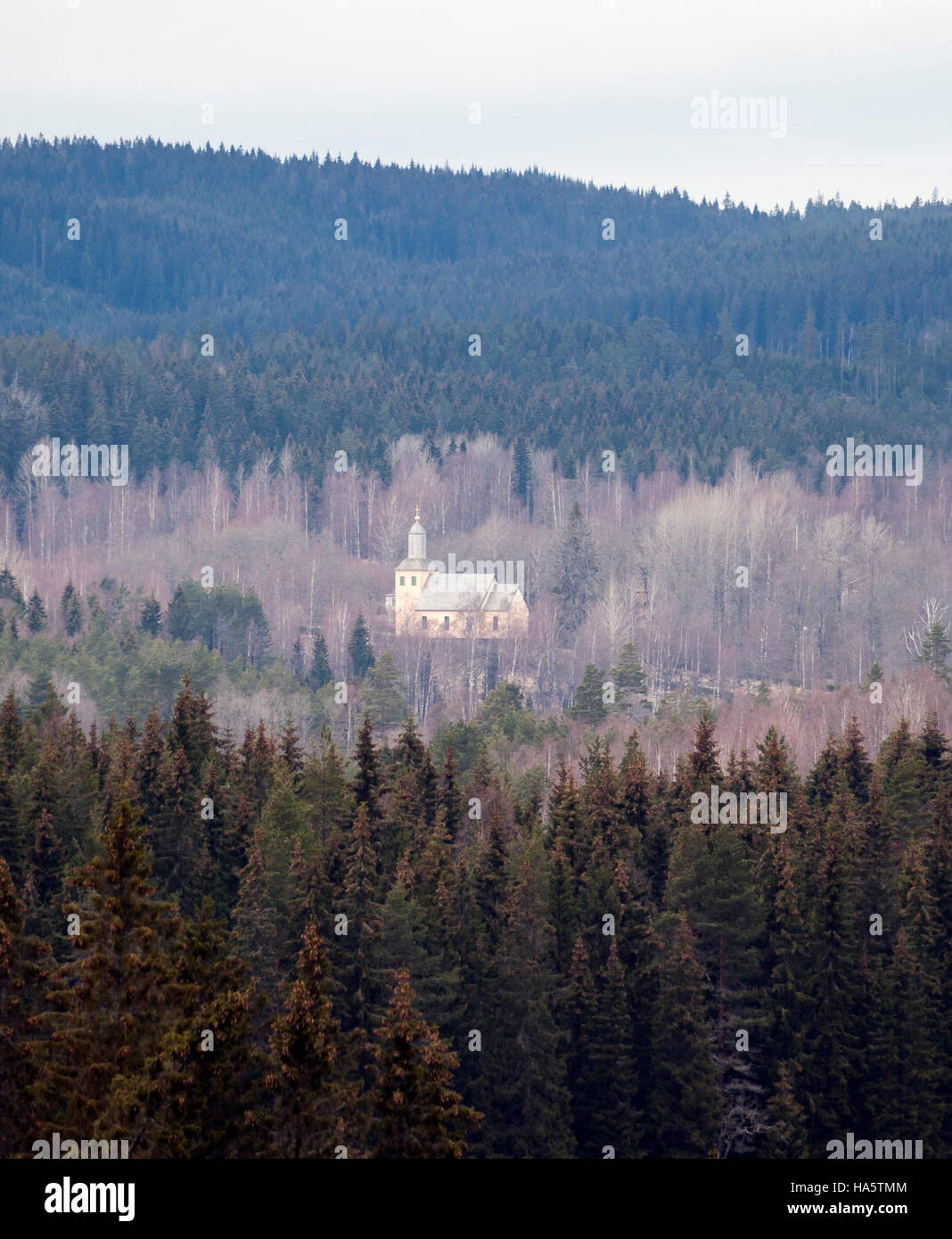 Church in the forest Stock Photo - Alamy