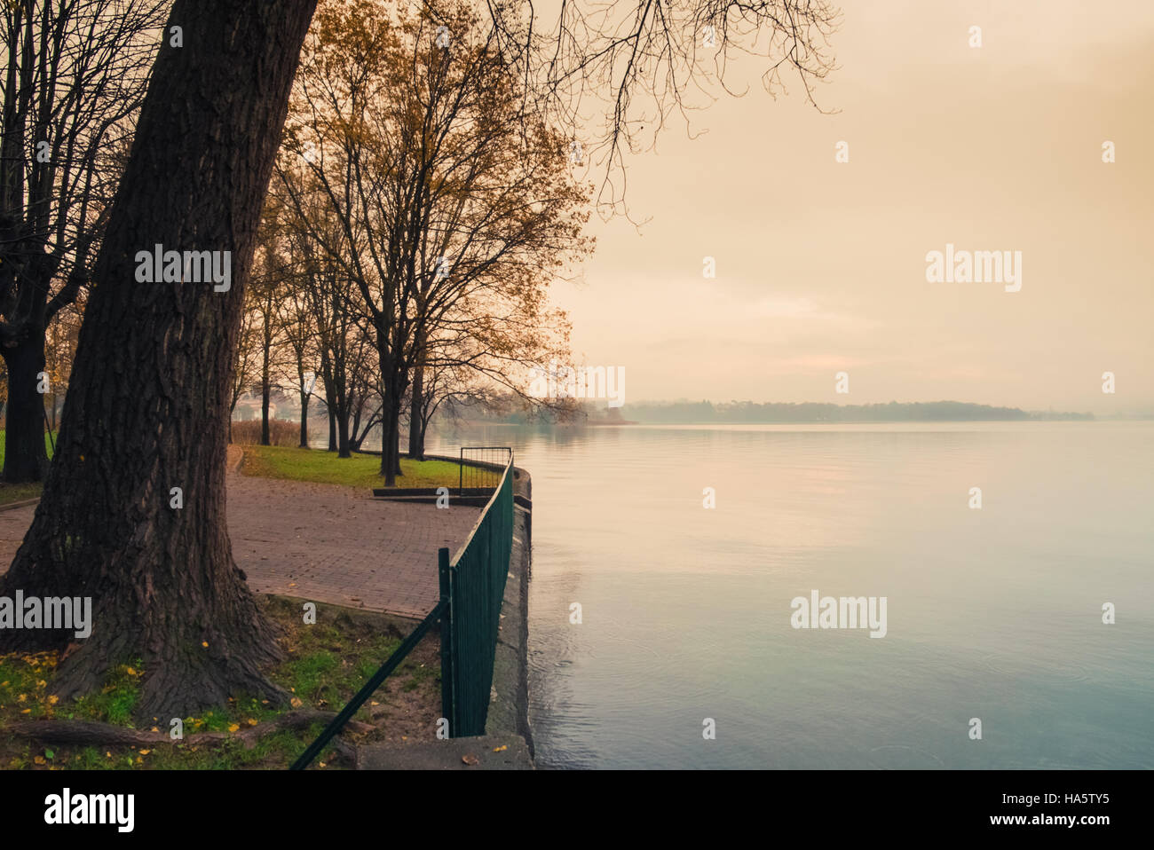 Lake in front trees hi-res stock photography and images - Alamy