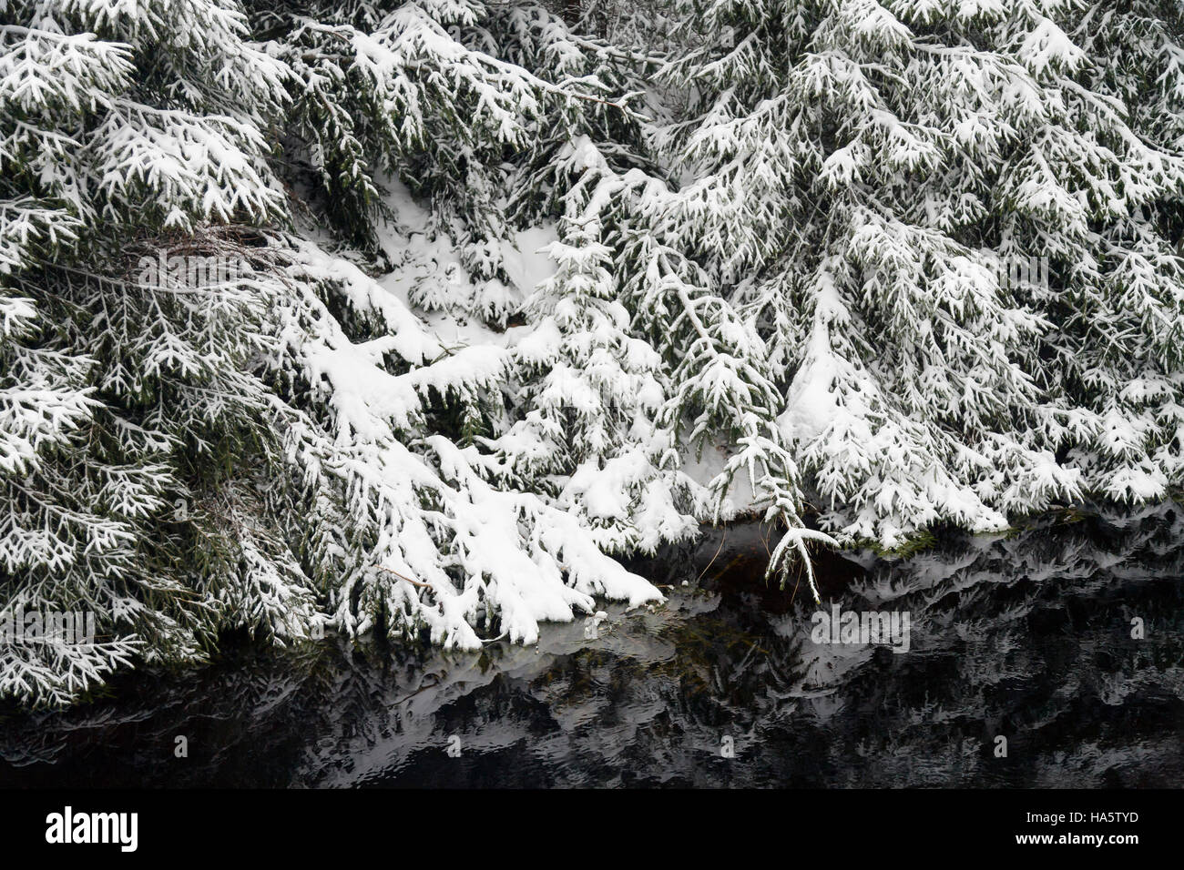 Water covered by plants hi-res stock photography and images - Alamy