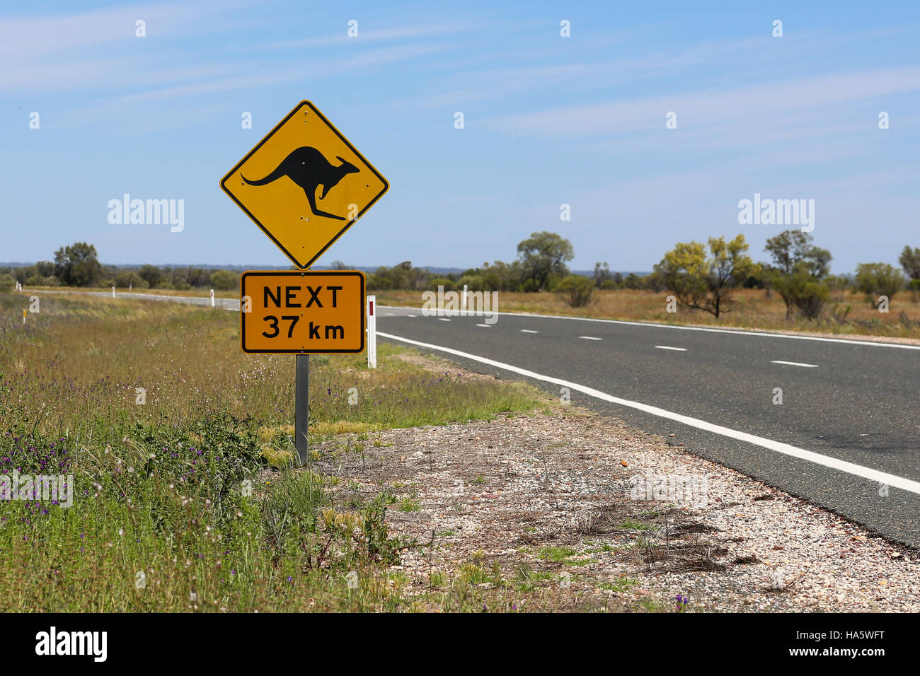 Kangaroo warning sign on road hi-res stock photography and images - Alamy